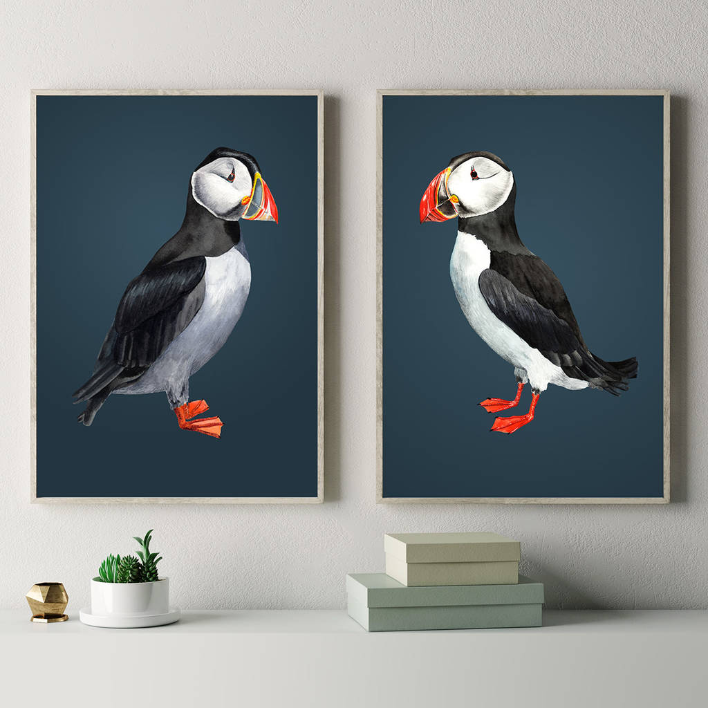 pair of puffin prints by lucy coggle | notonthehighstreet.com