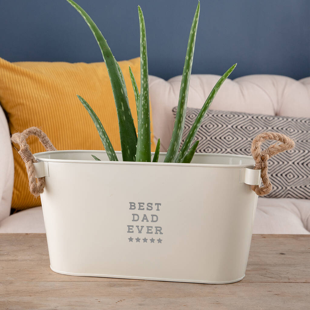 Engraved 'Best Dad Ever' Planter By Dust and Things ...