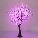 Medium 2m Illuminated Led Tree Mid White By Enchanted Trees ...