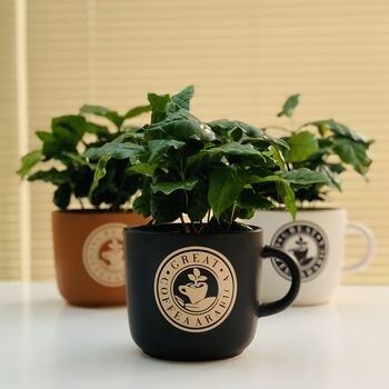 Giant Coffee Mug / Planter By Stupid Egg Interiors | notonthehighstreet.com