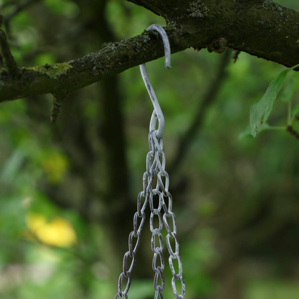 Personalised Garden Flower Bird Dish By Dibor | notonthehighstreet.com