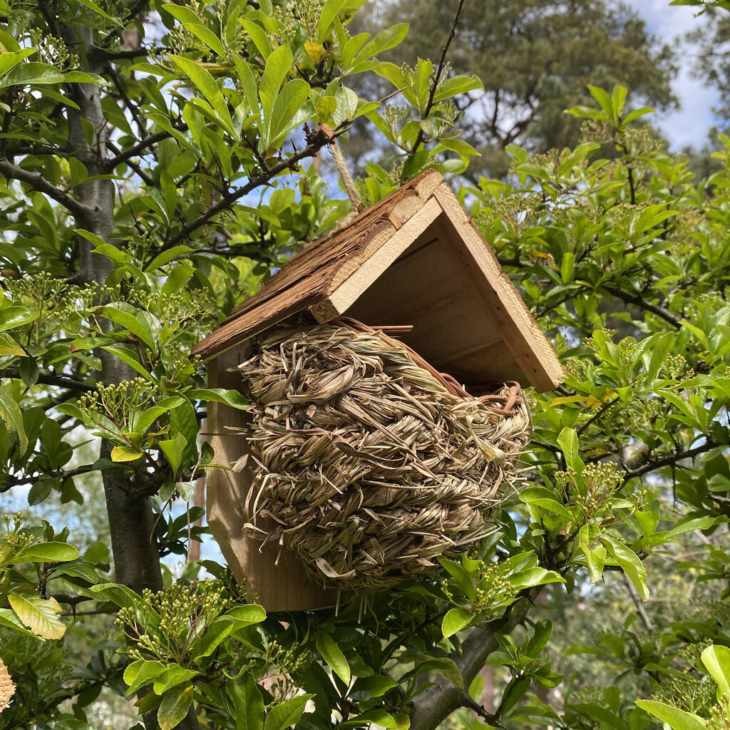 Duo Of Woven House Martin Bird Boxes By Garden Selections ...