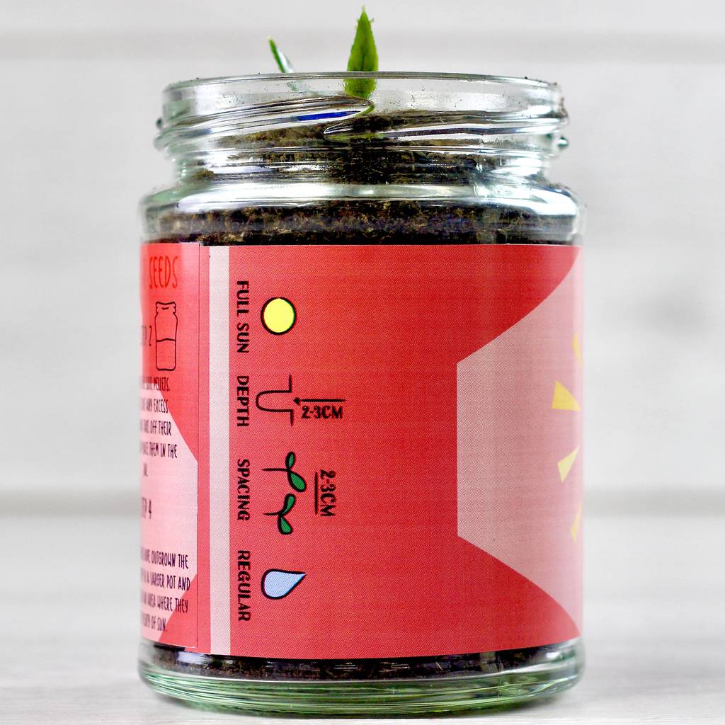 Personalised Sweet Strawberry Jar By Be Ecycle | notonthehighstreet.com