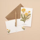 British Wild Flowers Illustrated Notelet Set By Little Paisley Designs ...