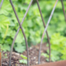 8mm Border Edging Hoops Set Of Six By Muntons Traditional Plant ...