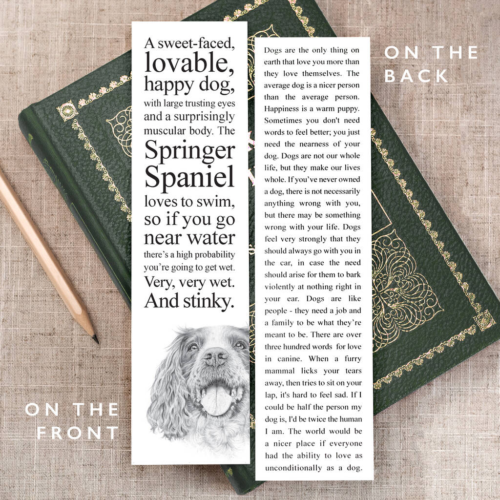 Funny Springer Spaniel Illustration Card For Dog Lovers By Coulson ...