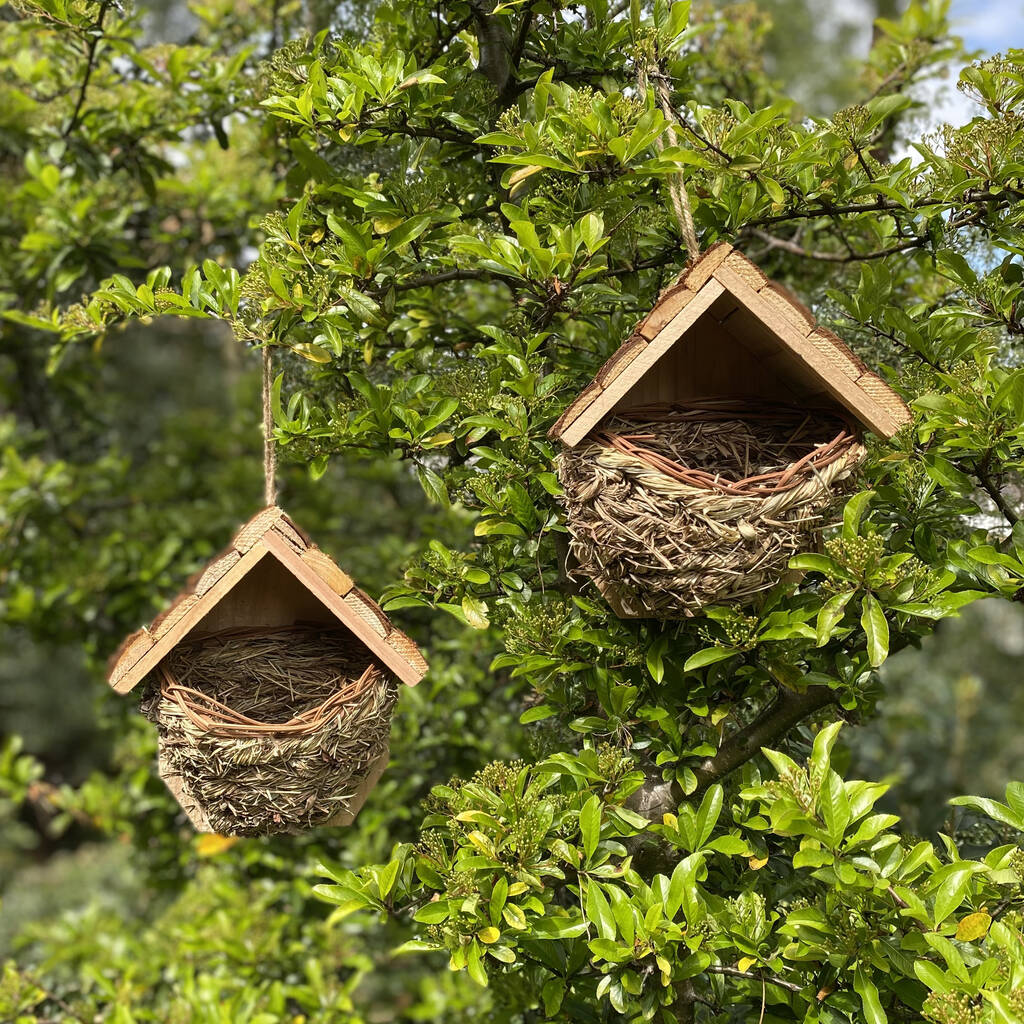 Duo Of Woven House Martin Bird Boxes By Garden Selections ...