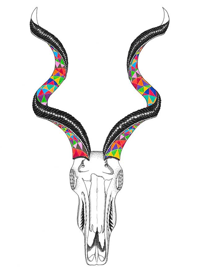 kudu skull african illustration and pattern print by crafty creature ...