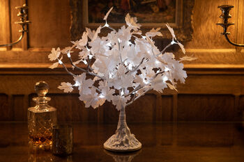 Enchanted Tree White Maple Small 0.5m By Enchanted Trees ...