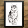 Pet Portrait Line Drawing By Astrid Brisson | notonthehighstreet.com