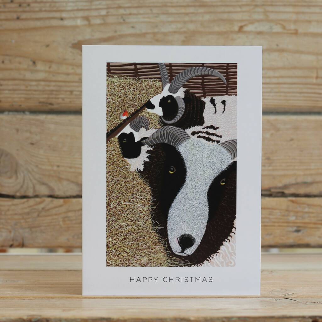 set of six sheep christmas cards three designs by bird ...