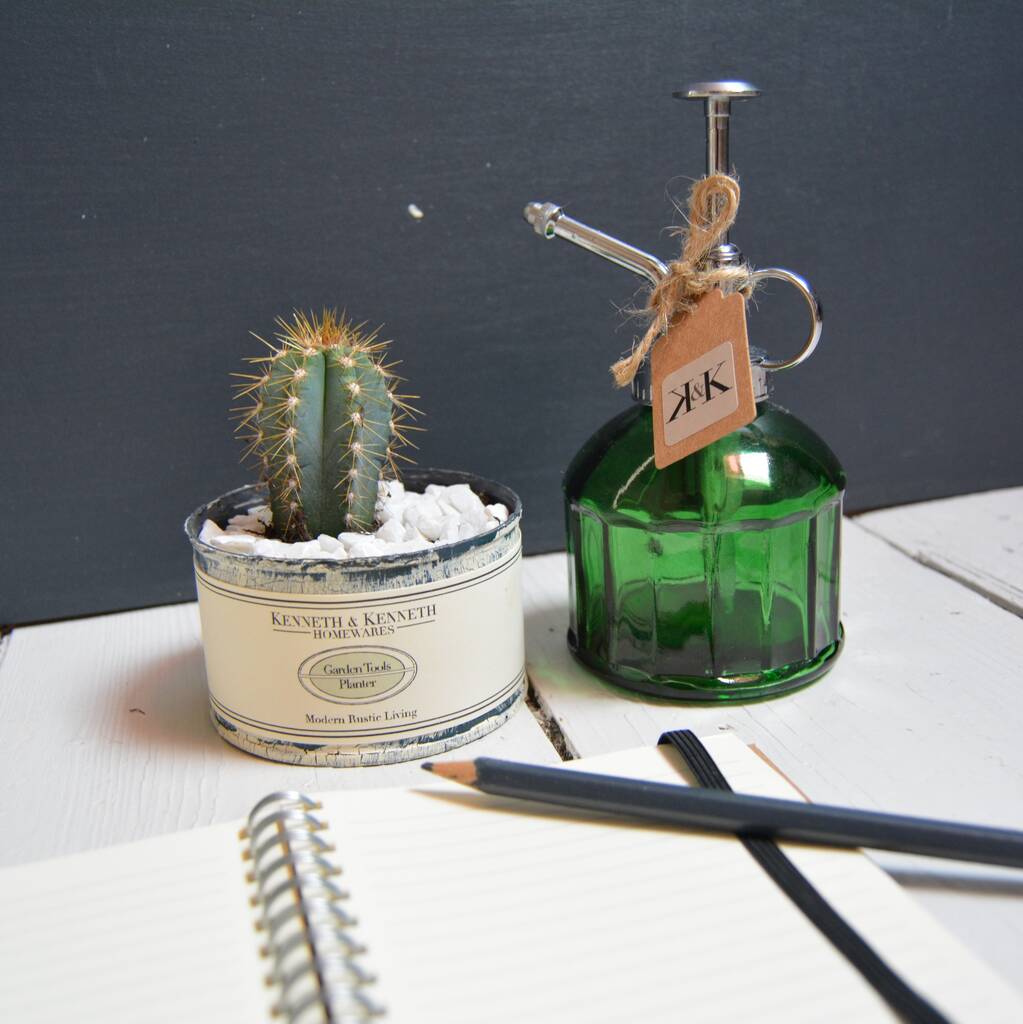 grow your own cactus gardening gift set by kenneth & kenneth ...