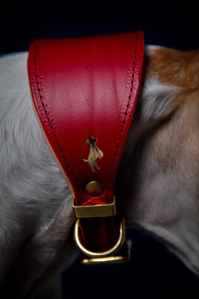 Personalised Padded Luxury Leather Sight Hound Collar By Storeys and ...