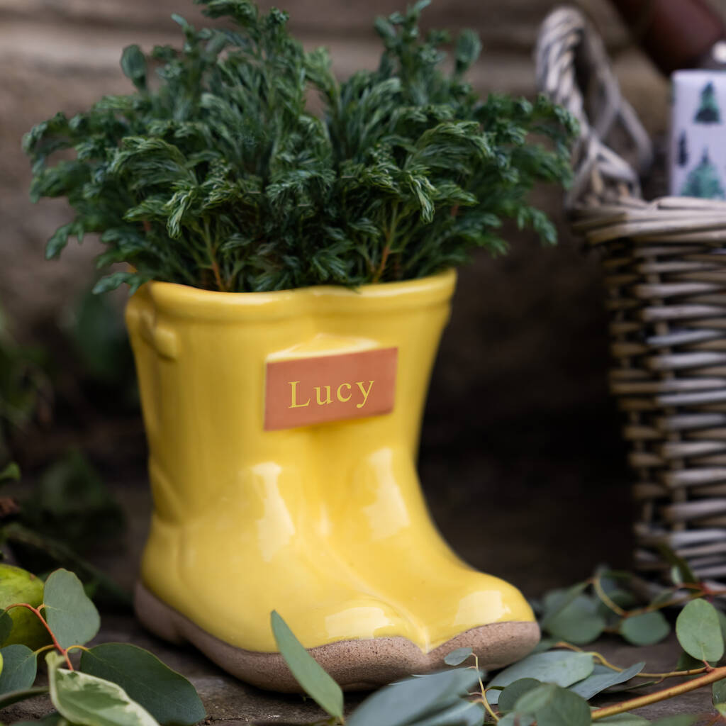 Personalised Yellow Welly Boots Planter By Dibor | notonthehighstreet.com
