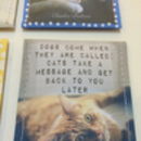 cat lovers tea gift set by victoria mae designs | notonthehighstreet.com