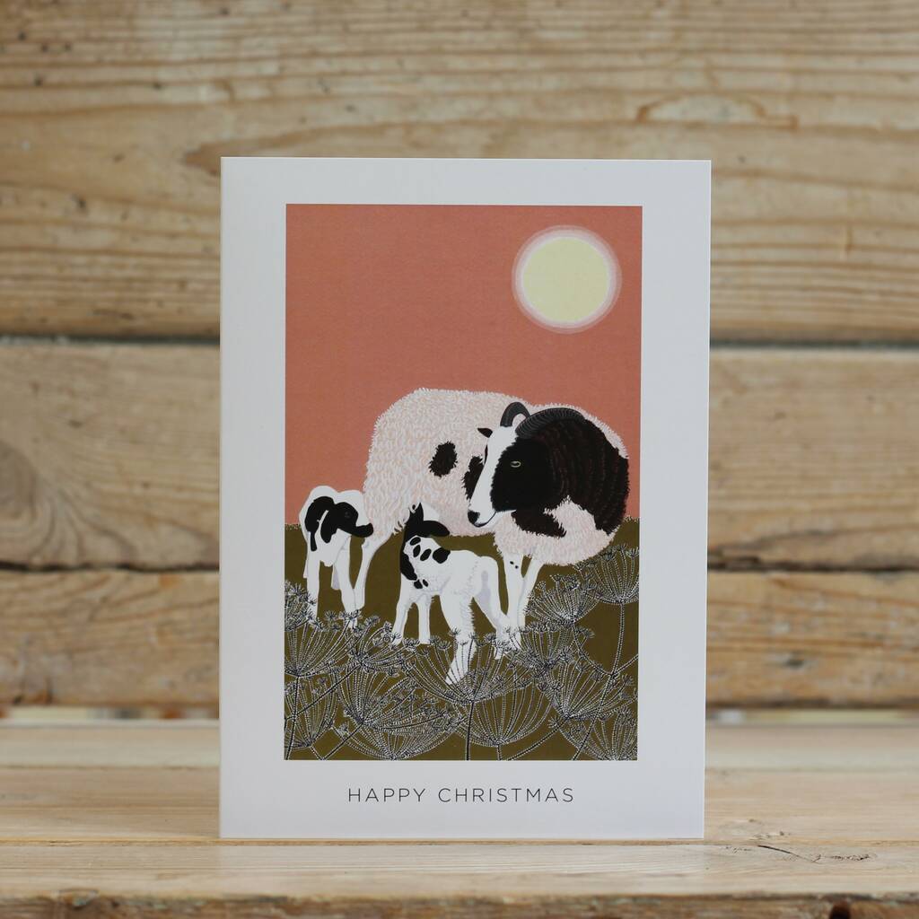 set of six sheep christmas cards three designs by bird ...