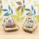Geometric Pyramid Glass Vase Succulent Terrarium By Dinga Ding ...