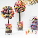 personalised jelly baby sweet tree by sweet trees | notonthehighstreet.com