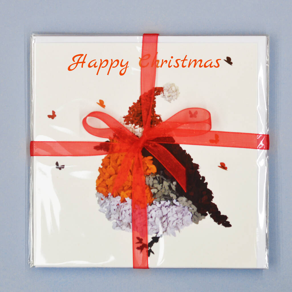 Five Butterfly Robin Happy Christmas Butterflies Cards By Inkywool ...