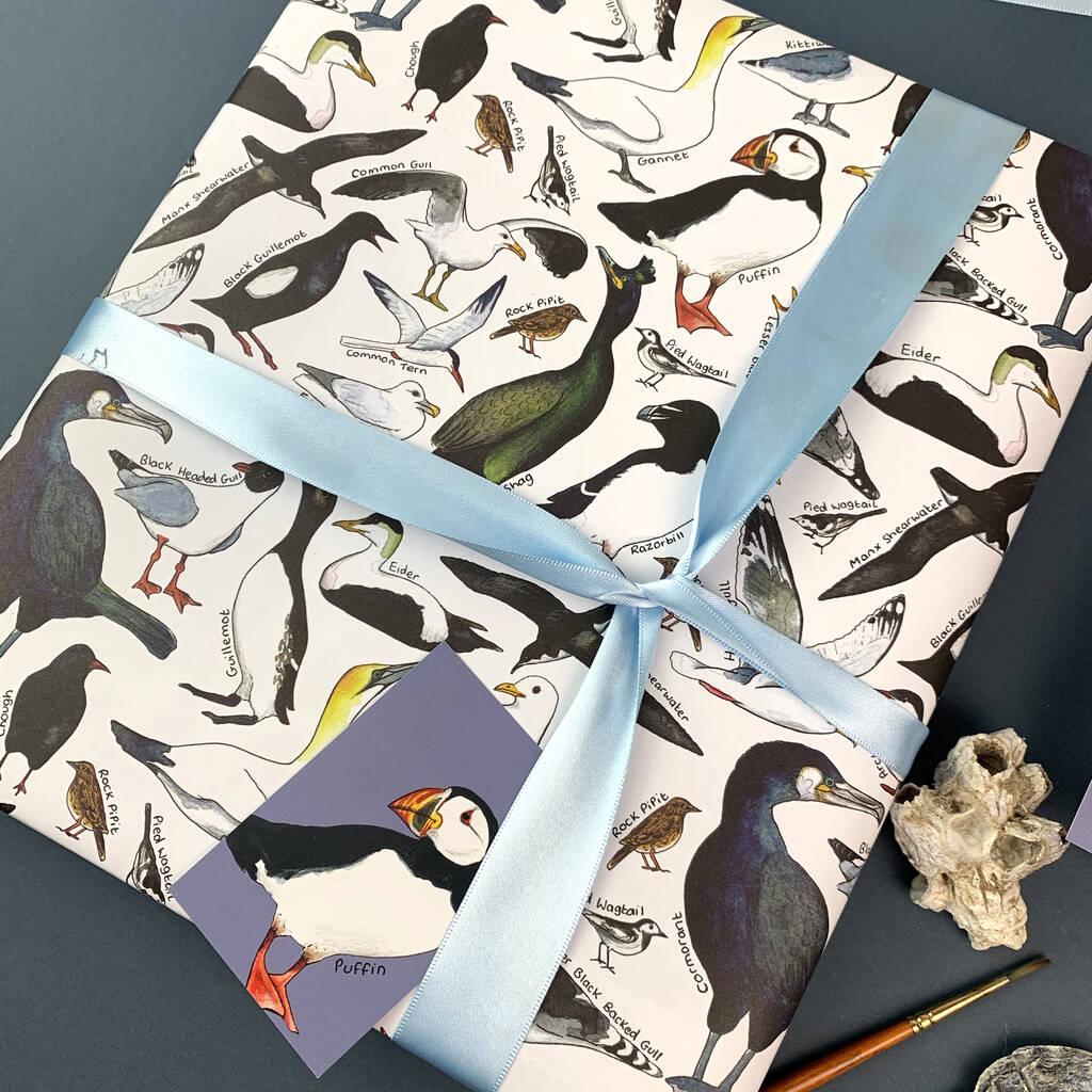 Coastal Birds Of Britain Wrapping Paper Set By Alexia Claire ...