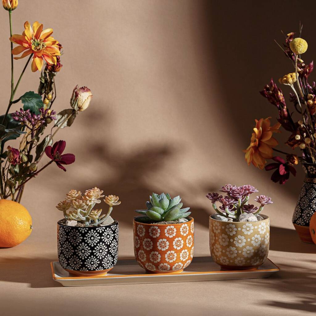 Global Craft Mini Planters By The Best Room