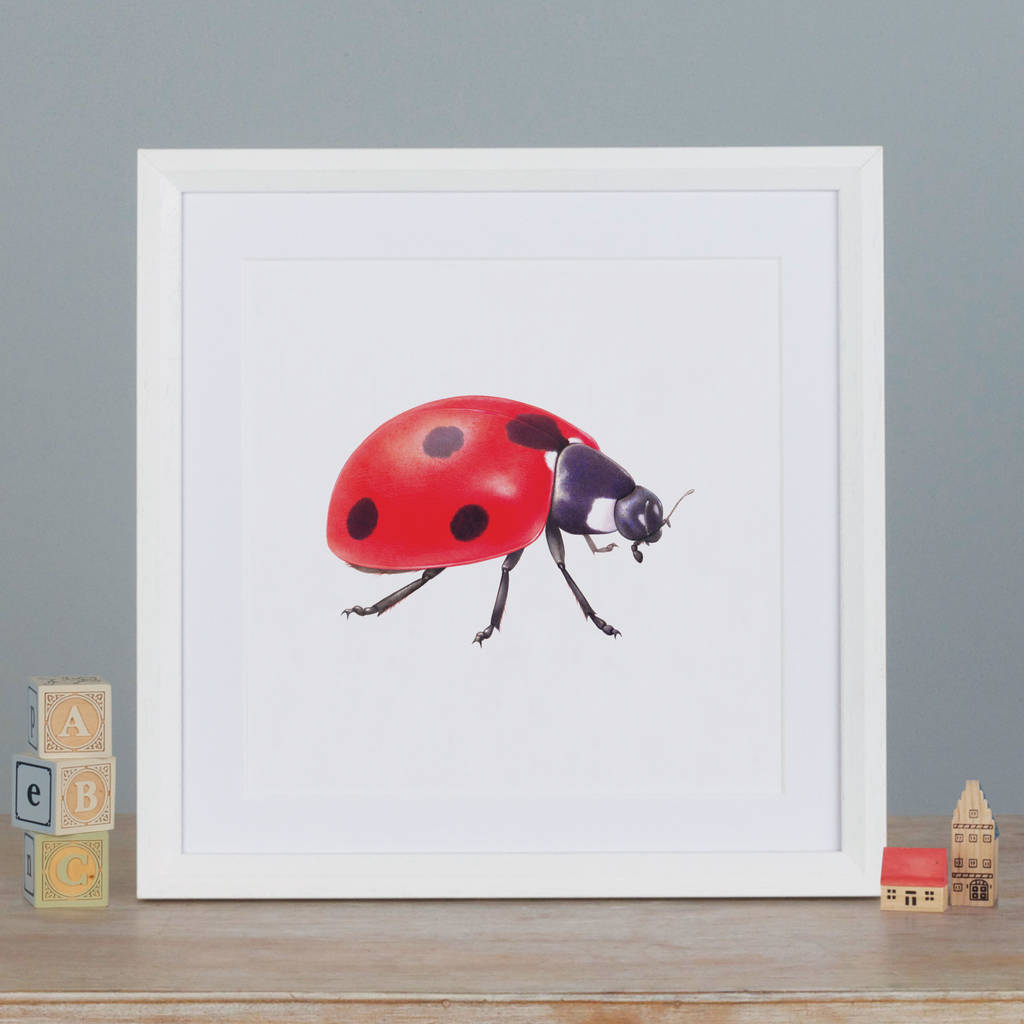 Illustrated Ladybird Print By Little Blue Zebra | notonthehighstreet.com