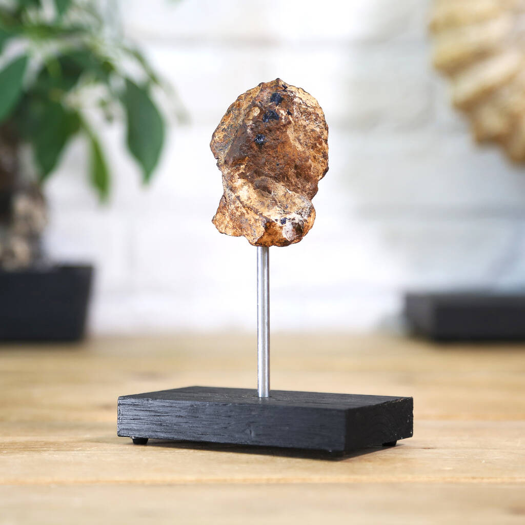 Chondrite Meteorite Bespoke Solid Oak Stand Real Authentic Space Meteor ...