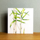 Bamboo Greetings Card By Kali Stileman Publishing | notonthehighstreet.com