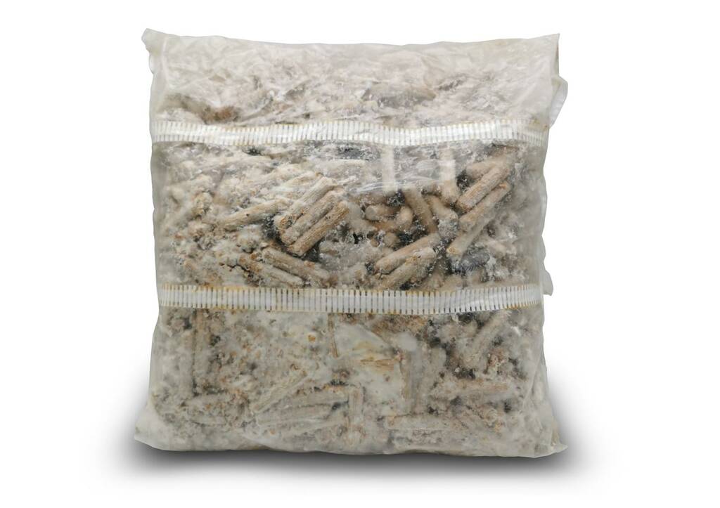 Shiitake Mushroom Plug Spawn By Urban Farm-It | notonthehighstreet.com