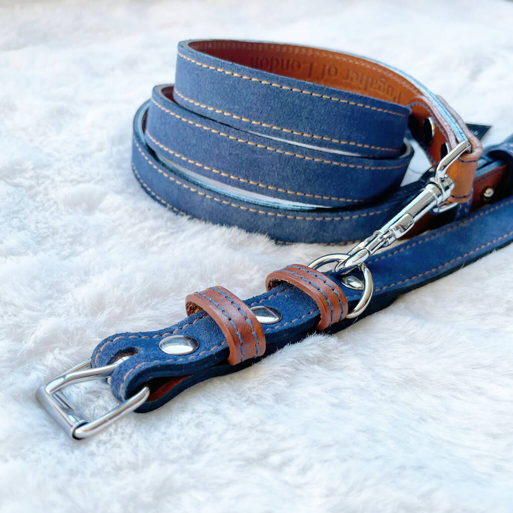 Blue Leather Dog Collar By Pugalier Of London | notonthehighstreet.com
