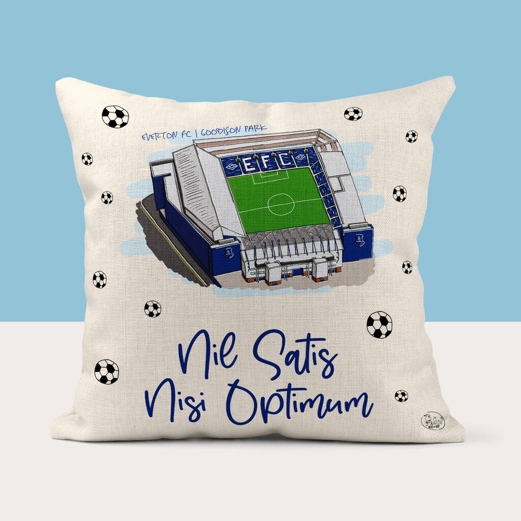 Everton Football Cushion By Moo and Snip | notonthehighstreet.com