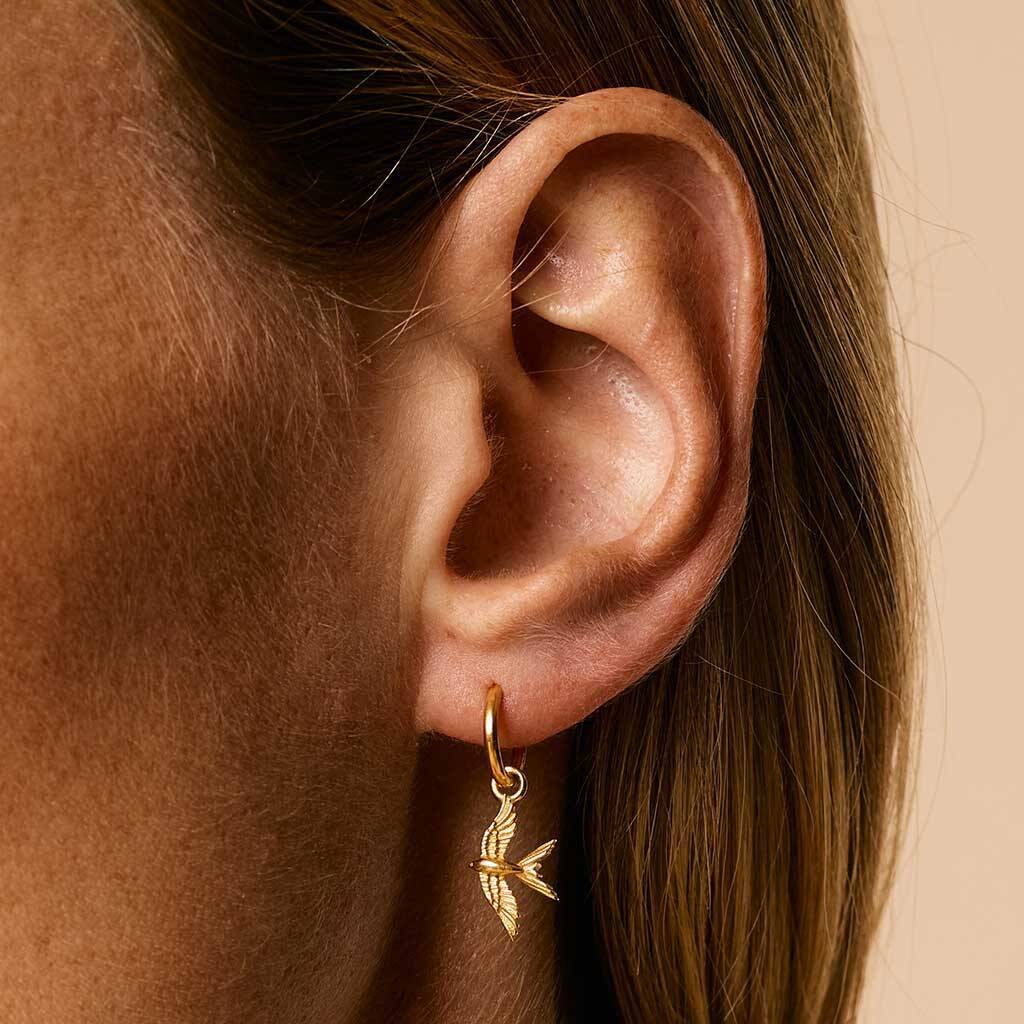 Swallow In Flight Gold Plated Hoop Earrings By Charlotte's Web Jewellery