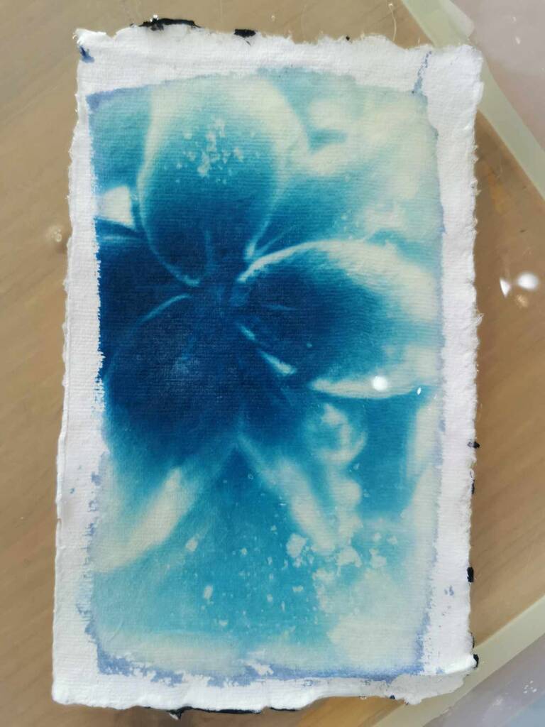 Cyanotype Print Making Workshop Experience In Manchester By The ...