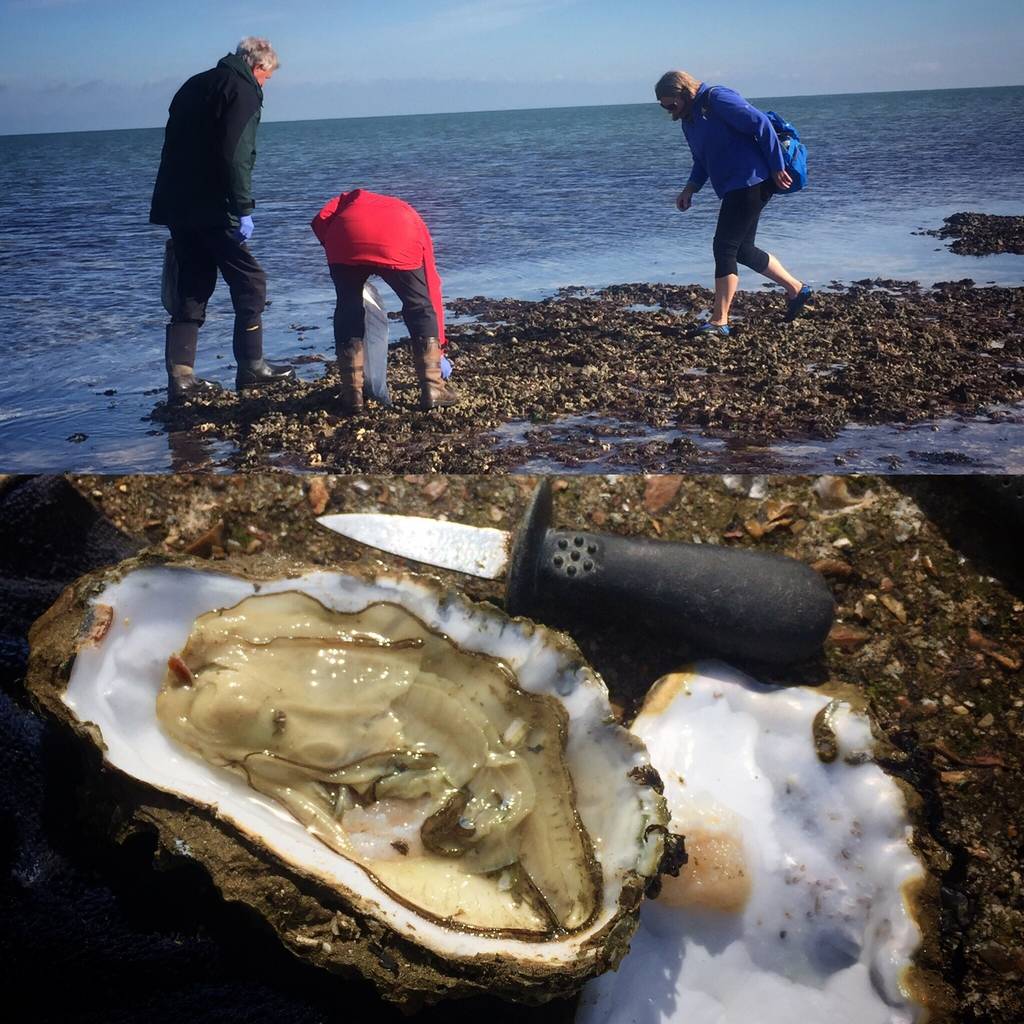 Food Foraging Experience With Gourmet Feast For One By The Wild Kitchen ...