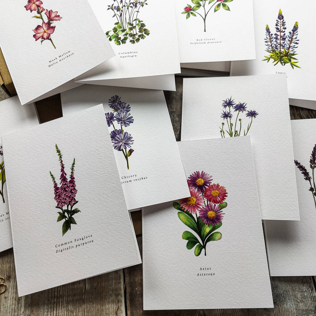 Set Of 10 Different Pink And Blue Wildflower Notecards By Paper Willow ...