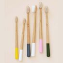 Plastic Free Bamboo Toothbrushes By Green Tulip | notonthehighstreet.com
