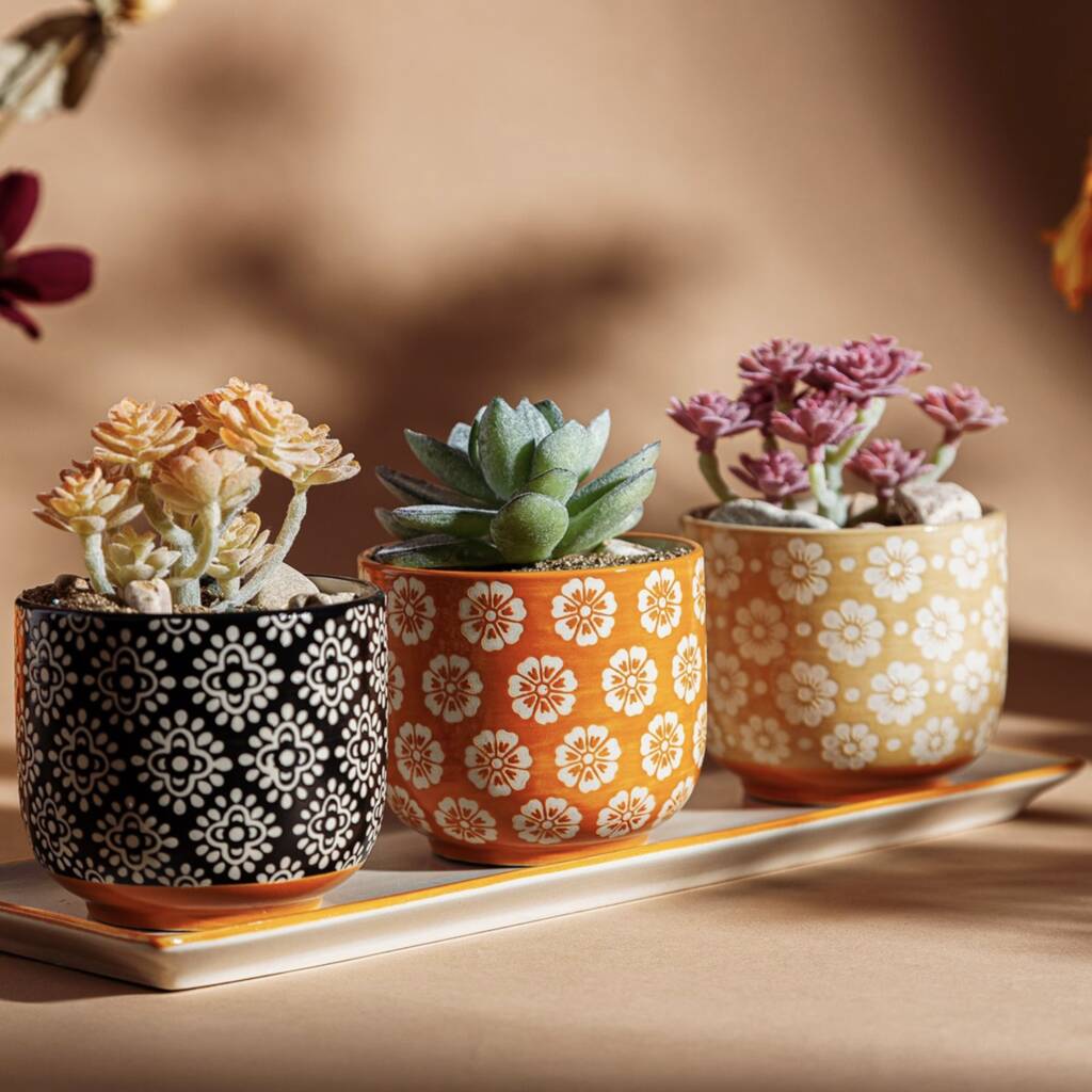 Global Craft Mini Planters By The Best Room