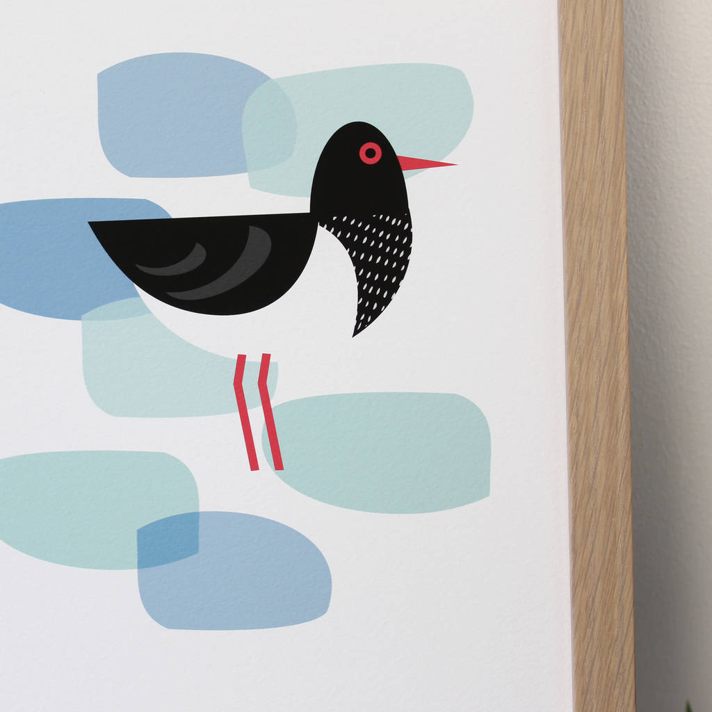 Oystercatcher A4 Art Print By Louise Brainwood Notonthehighstreet