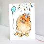 Pomeranian Birthday Card By Pet Portrait Illustration ...