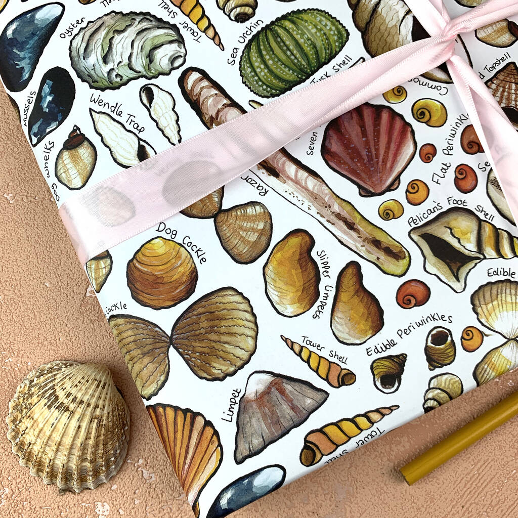 Seashells Of Britain Wrapping Paper Set By Alexia Claire ...