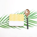 Sgraffito Style Coaster Set By Rolfe & Wills | notonthehighstreet.com