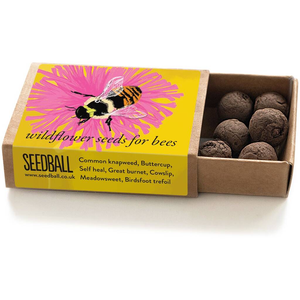 Bumblebee Boxes Pack Of Three Wildflower Seeds For Bees By Seedball ...