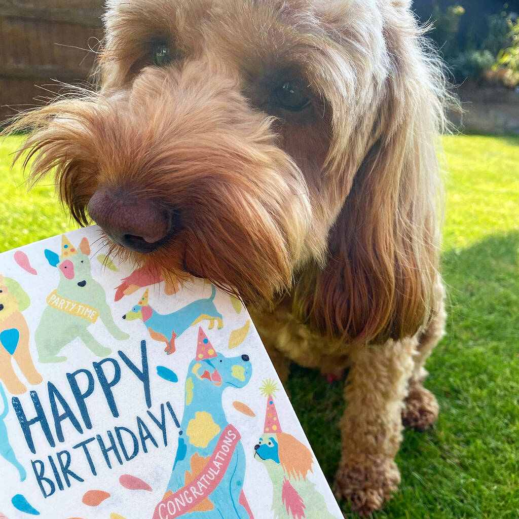 Edible Happy Birthday Card For Dogs By Scoff Paper Notonthehighstreet Edible Happy Birthday Card For Dogs By Scoff Paper Notonthehighstreet