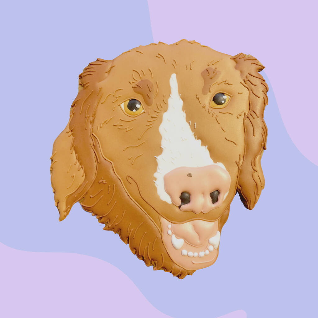 Bespoke Animal Portrait Iced Biscuit By Coy Biscuit