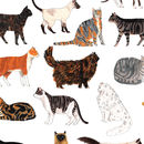 Cat Print By James Barker | notonthehighstreet.com