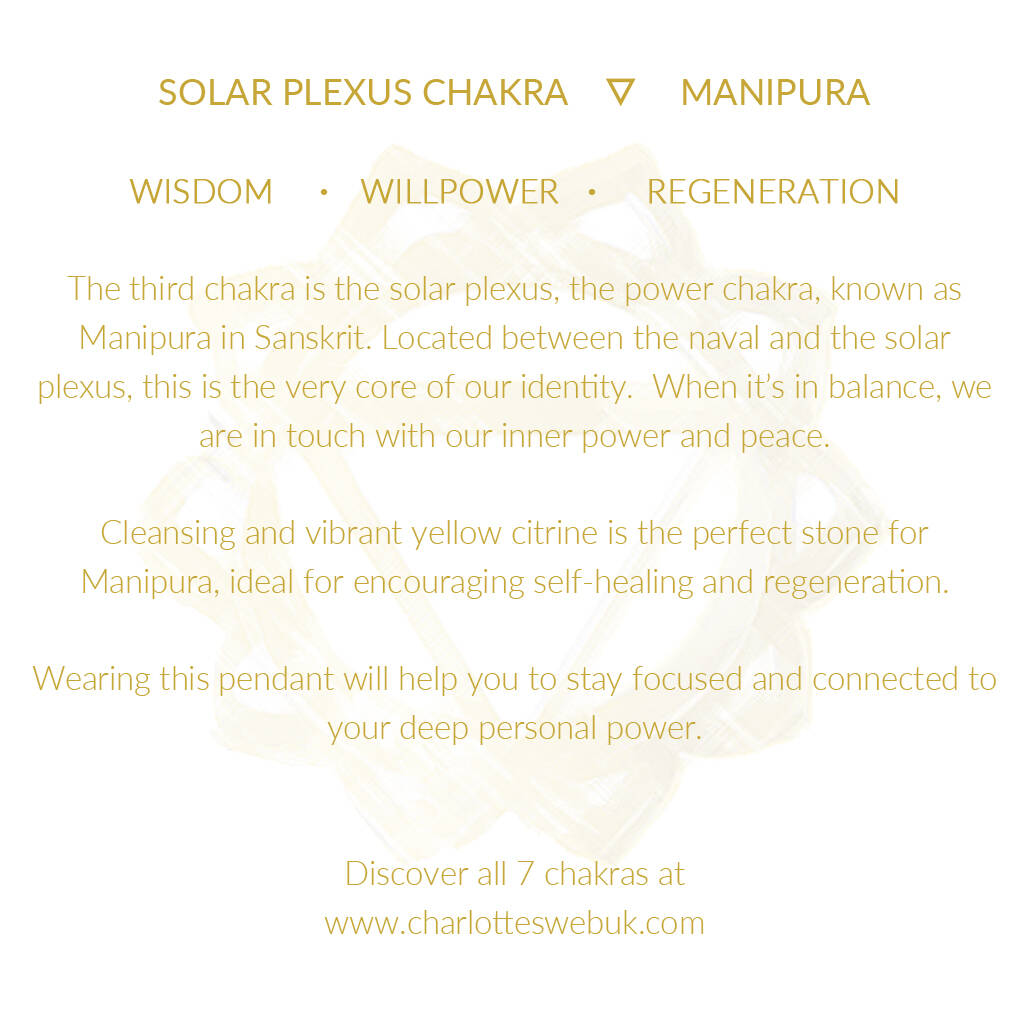 Solar Plexus Chakra Men's Citrine Silver Necklace By Charlotte's Web ...