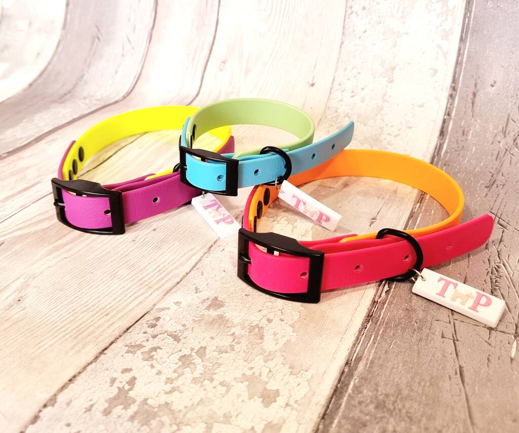 Two Coloured Biothane® Dog Collar By Trinkety Paws | notonthehighstreet.com