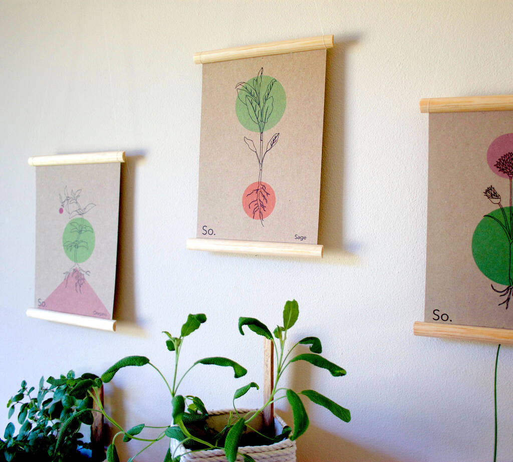 Grow Your Own Cocktail Herbs Seed Kit By So. Seed Kits ...