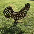 Rusty Rooster Garden Decoration By The Rustic Warehouse ...