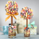 Personalised Jelly Baby Sweet Tree By Sweet Trees | notonthehighstreet.com